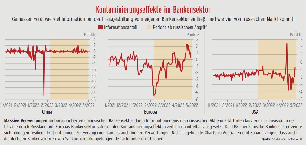Anfälliges Sanktionsnetz | 1/2023 | Theorie & Praxis | Magazin ...